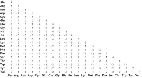 Use The Blosum62 Matrix Calculate The Dynamic