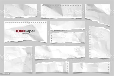 흰색 찢어진 구겨진 종이 스트립 컬렉션 찢어진 가장자리가있는 현실적인 종이 스크랩 스티커 노트 노트북 페이지의 조각 벡터