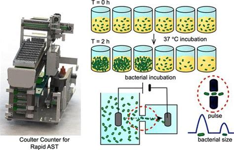 使用库尔特计数器和增殖率差异进行快速表型抗菌药敏试验 Acs Omega X Mol