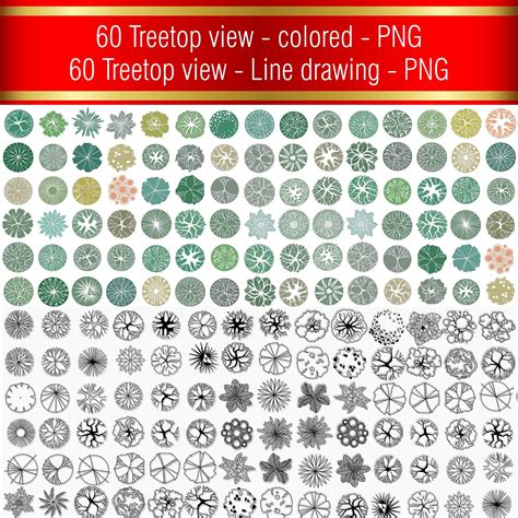 Best 11 Tree Plan Png Image Tree Symbols Tree Landscape Elements Custom Brush Tree Plan