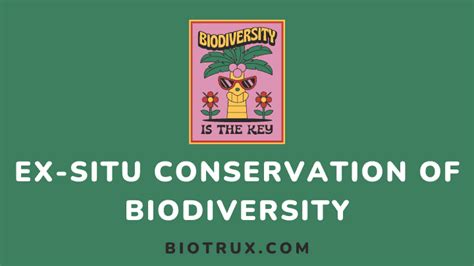 Ex Situ Conservation Of Biodiversity Meaning Advantages Types
