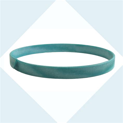 Guide Ring And Back Up Ring From China Manufacturer Dongshou Sealing