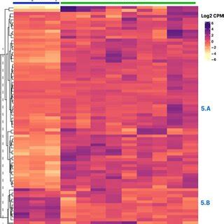 K Means Clustering Analysis Of Genes Differentially Expressed In Leaf