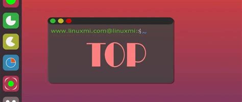 你真的会 Linux Top 命令吗？进程系统运行