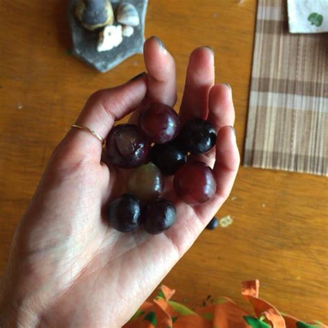 프로젝트 가치삶 식당서 밥 먹고 한줌 남은 햄반찬은 기름기 닦아 동네개들 주려고 봉지에 싸왔다