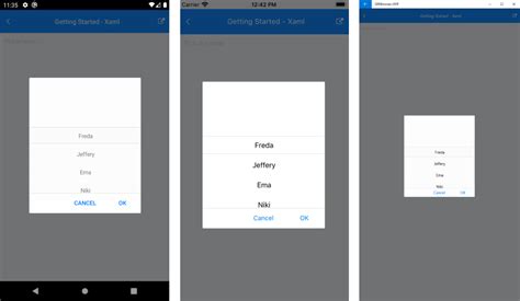 Getting Started With Xamarin Forms List Picker Control Telerik UI For Xamarin