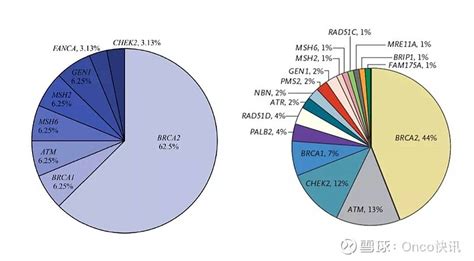 重大突破！首个前列腺癌parp抑制剂奥拉帕利3期临床成功，biomarker或是关键 近日， 默沙东 宣布其parpi奥拉帕利治疗转移性去势抵抗前列腺癌 Mcrpc 的3期profound