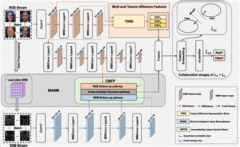 Overview Of The Proposed Tan Gfd Framework A Two Stream Architecture Download Scientific