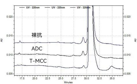 2 曜享干货 Adc药物的质量分析研究 知乎