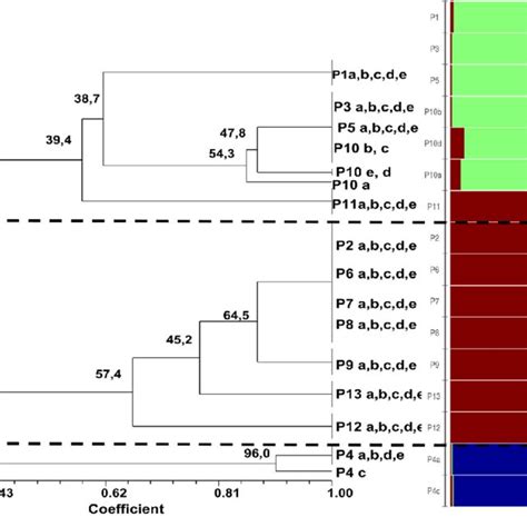 Genetic Relationship Among Accessions A Dendrogram Upgma Of The Pea