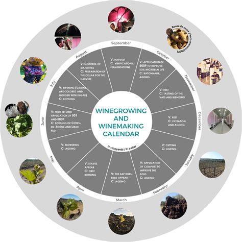 In The Cellar Biodynamics Working Biodynamic Wine