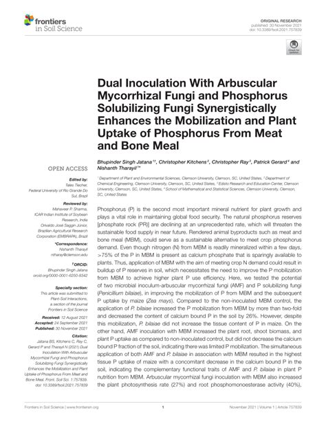 Pdf Dual Inoculation With Arbuscular Mycorrhizal Fungi And Phosphorus
