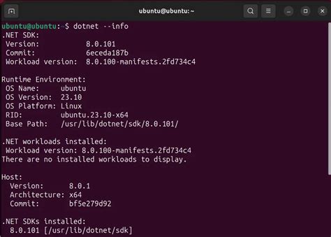 Host ASP NET Core On Nginx In Linux