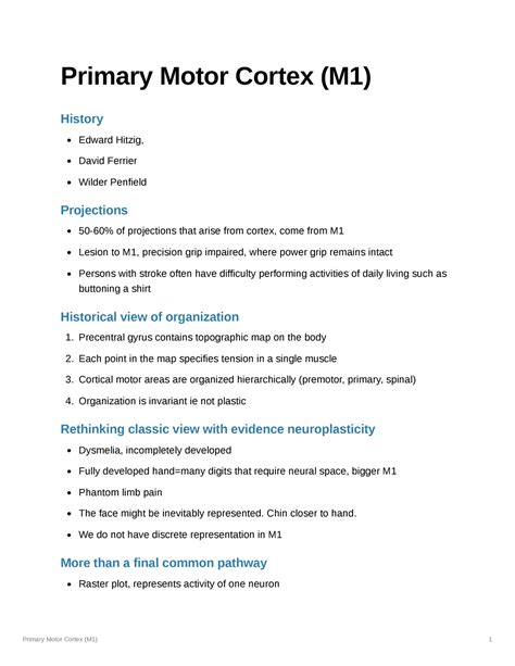 Primary Motor Cortex Precentral Gyrus Contains Topographic Map On The