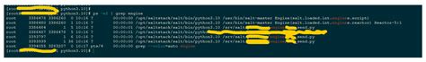 Python Creating Multiple Salt Engine Process In Rhel Stack Overflow