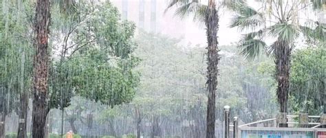 暴雨橙色预警！未来3小时，厦门将迎雷电、强降水、大风！街道天气厦门