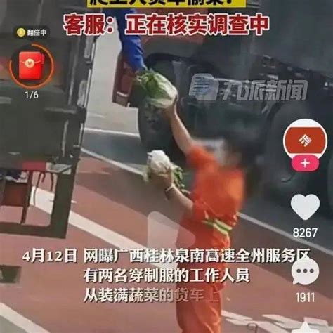 网传桂林某服务区穿制服的工作人员爬车偷菜？真相来了白菜视频谣言