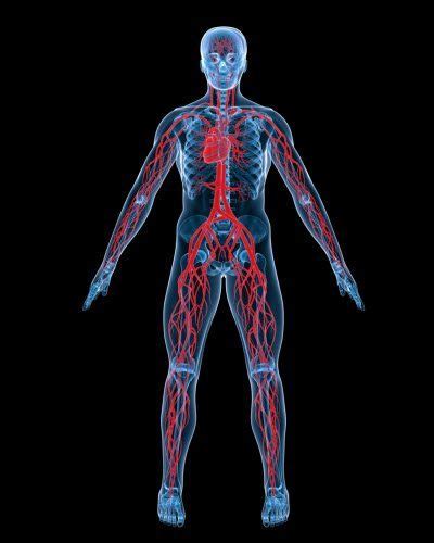 Захворювання периферичних артерій