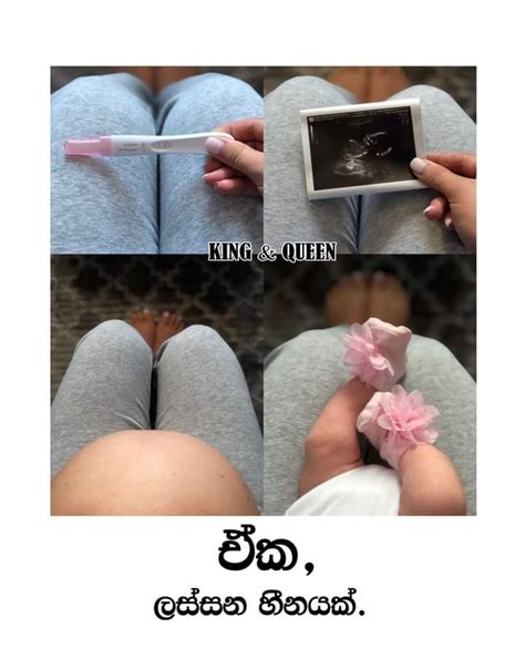 කන්නගී හංසි පතිරණ සුදු ඇත් පොව්වෙක් සුදු නෙළුම හොඬින් ගෙන පැදකුණු නොකළත් සිරි යහනේ