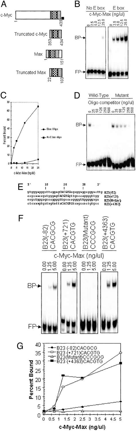 A Strategy For Identifying Transcription Factor Binding Sites Reveals Two Classes Of Genomic C