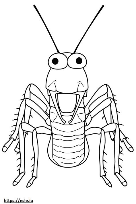 Grasshopper Mouse Face Coloring Page Grasshopper Mouse Face Coloring Page