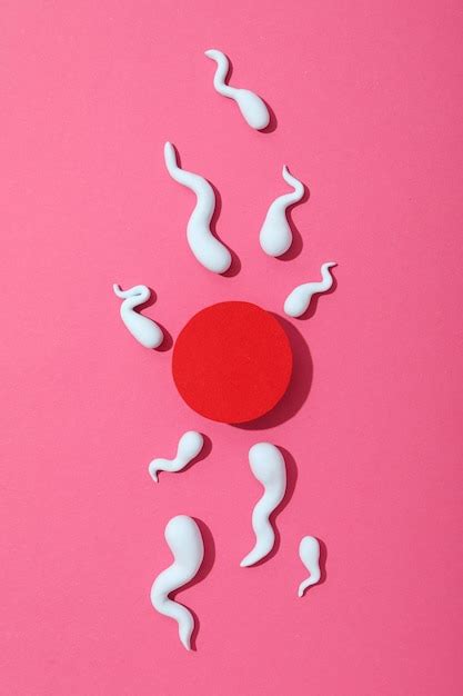 Premium Photo Fertilization Concept Ovulation Period Sperm And Egg