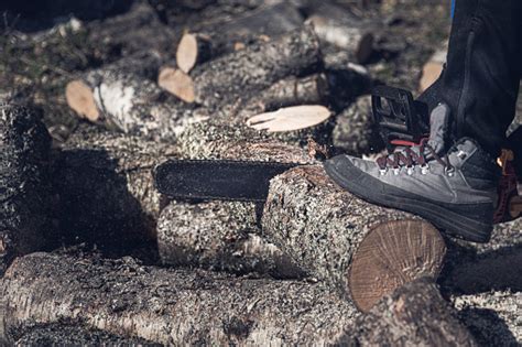 전기톱으로 나무를 톱으로 톱으로 하는 한 남자 오래된 나무에서 숲 농장을 제거하고 장작을 준비합니다 가솔린에 대한 스톡 사진 및 기타 이미지 Istock