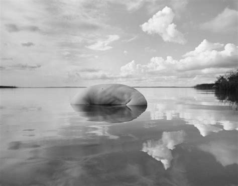Artists Uses His Own Naked Body To Create Surreal Landscape Photos DeMilked