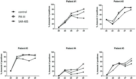 Flt3 Itd Primary Aml Cells Undergo Apoptosis Back To Atmospheric O2 Download Scientific Diagram