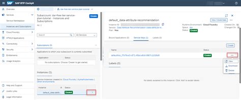 Use Free Tier To Set Up Account For Data Attribute Recommendation And Get Service Key Sap