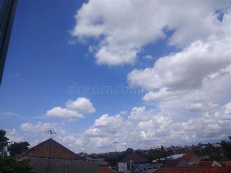 Fly Like A Cloud Stock Image Image Of Like Tree Morning 266603959