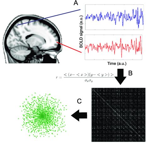 Procedure To Extract Brain Functional Connectivity Networks A Bold