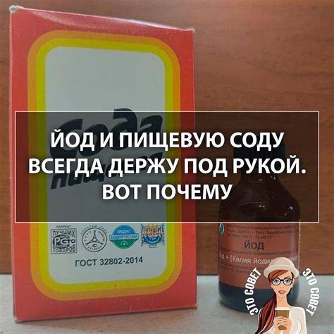 СОВЕТЫ Тест на Альцгеймера как быстро вы найдете кошку Чтобы узнать есть ли у вас