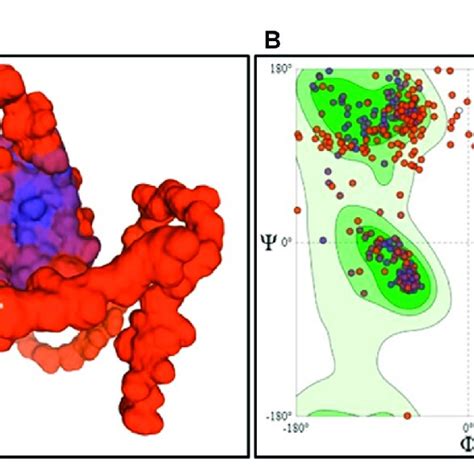 Homology Model Surface Structure Of Astl Determined By Alphafold2 A Download Scientific
