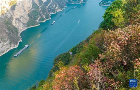 សត្វរំពេចំពុះក្រហមហោះទៅកាន់ទីក្រុងគុនមីងដើម្បីឆ្លងរដូវរងា សារព័ត៌មាន នគរវត្ត