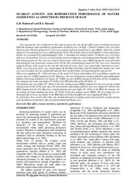 Pdf Ovarian Activity And Reproductive Performance Of Mature Ossimi