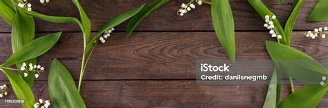 빈티지 나무 보드의 배경에 계곡의 백합의 꽃의 장식 텍스트 아래에 꽃과 장소의 프레임 빈티지 배경 플랫 레이 0명에 대한 스톡 사진 및 기타 이미지 Istock