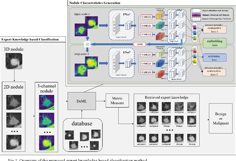 Figure 1 From Computer Aided Classification Of Lung Nodules On Ct