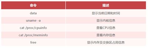 IC学霸笔记 VI编辑器及常用命令建议收藏 IC修真院