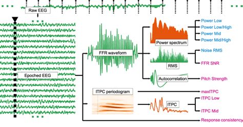 Two Types Of Ffr Measures Synchronization And Power Raw Eeg Signals