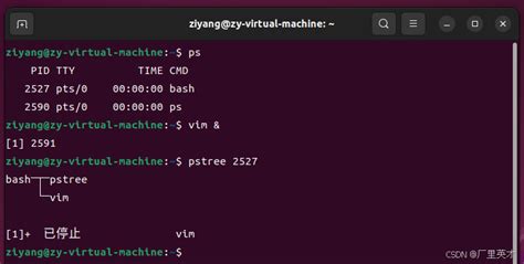 Linux实验报告9 进程管理linux进程管理实验报告 Csdn博客