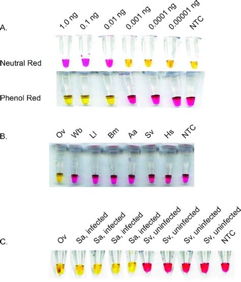 Colorimetric Test For Analytes Determination Wet Chemistry Boc Sciences