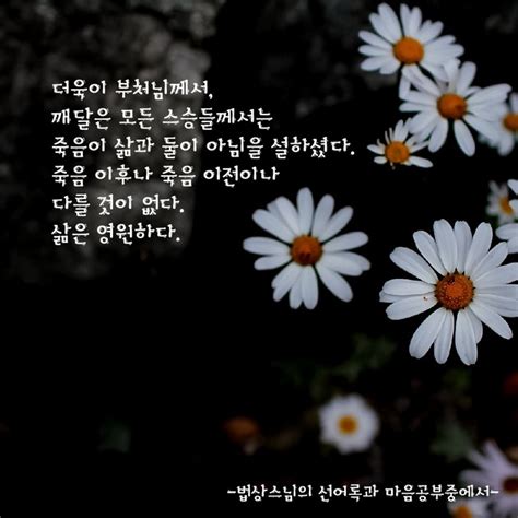 법상스님의 중에서 법상스님글모음