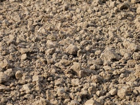 Conservación Del Suelo Qué Prácticas Son Más Frecuentes