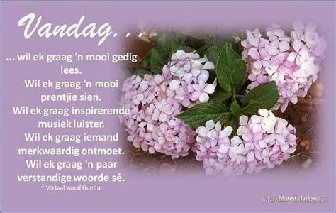 Welvaart En Oorvloed Wense Vir Vandag En 2015