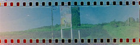 무료 이미지 분위기 에너지 세례반 본문 포스터 예 르바 핀 홀 에스테 노피 카 예르 바 메이트 부 엔디 아 에스테 노포 부엔지아 표시 스크린 샷