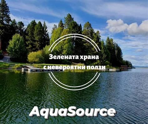 Aquasource Супер Антиоксидант 60 Капсули Продуктът супер антиоксидант на Аквасорс е най