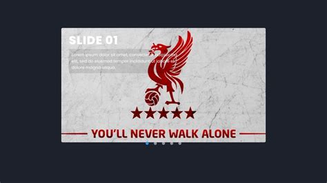 Responsive Image Slider With Manual Button And Auto Play Navigation