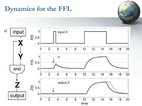 Ppt Network Motifs Discovery And Applications Powerpoint