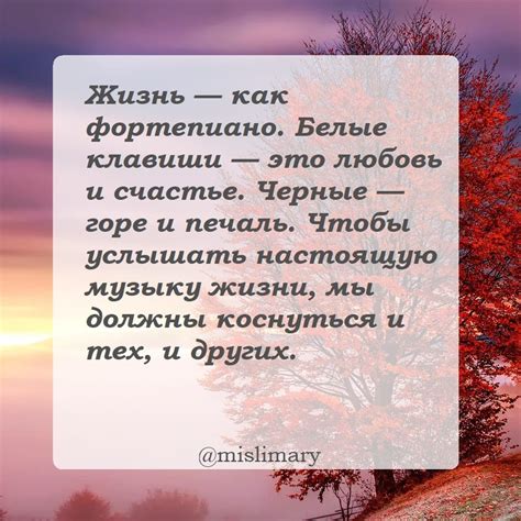 Женское Home Facebook